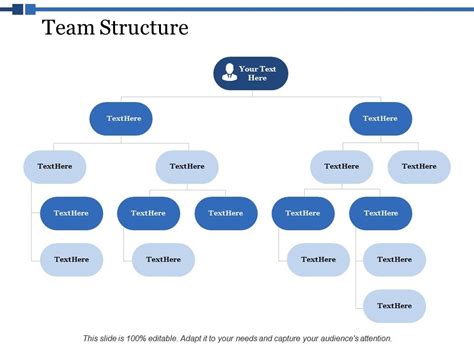 Team Structure Ppt Powerpoint Presentation Summary Icon PowerPoint Slide Template