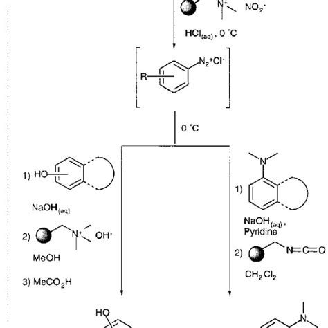 Scheme 1 Preparation Of The Azo Dyes Download Scientific Diagram