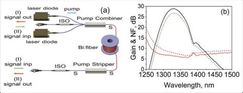 A Cladding Pumped Bdfa In I Backward And Ii Forward Download Scientific Diagram