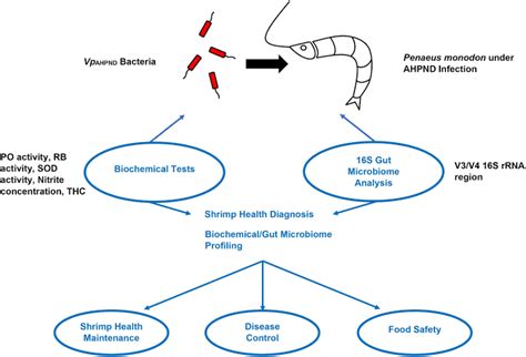 Detection And Control Of Waterborne Pathogens Classnotes Ng