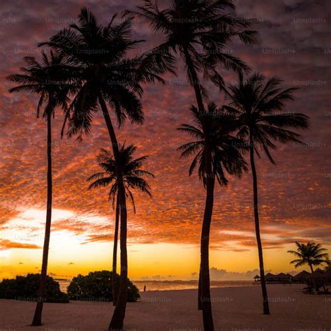 Data And Ai Camp Dairdux