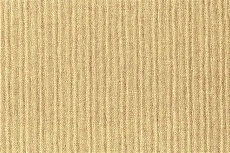 Premium Photo Canvas Background