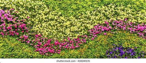 Muro Verde imágenes fotos de stock y vectores Shutterstock