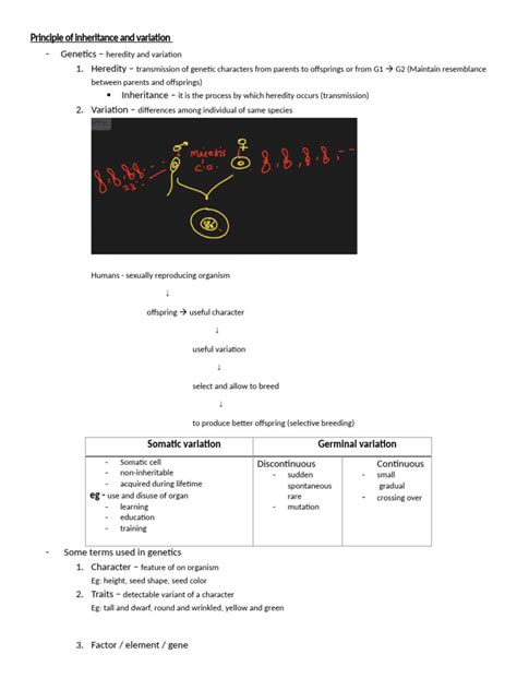 Principle Of Inheritance And Variation Pdf Dominance Genetics