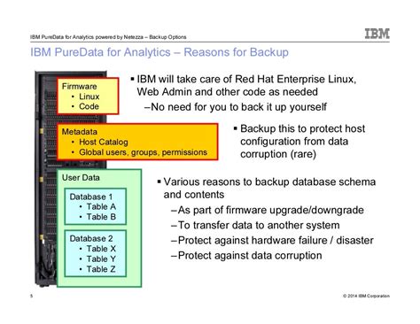 backup options for ibm puredata for analytics powered by netezza