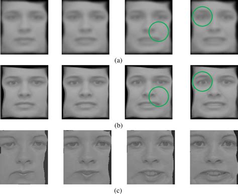 figure 1 from dynamic facial expression recognition with atlas