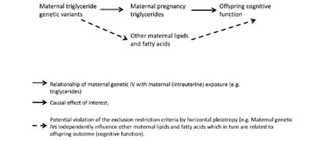 Directed Acyclic Graph Illustrating Use Of Mendelian Randomization To