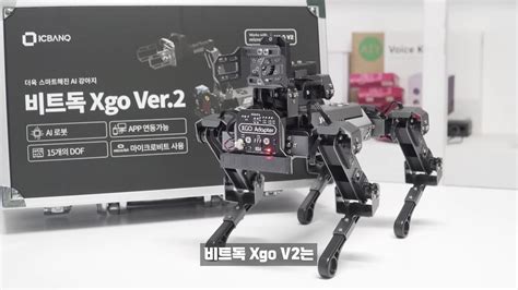 소통이 가능한 코딩 로봇 강아지 비트독 Xgo V2 Youtube