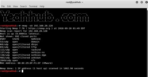 19 useful nmap commands you should know yeah hub
