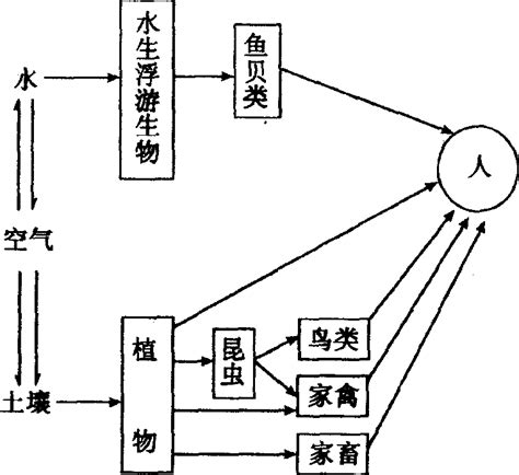 食物链 卫生学