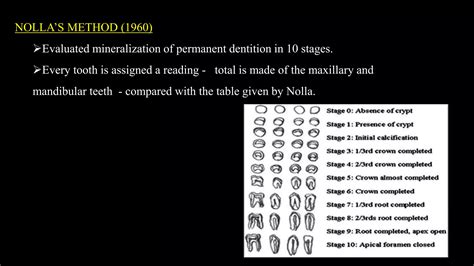 Age Estimation In Forensics Pptx