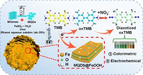 Mxene 量子点修饰的花状 Feooh 用于双模式亚硝酸盐传感 Acs Applied Nano Materials X Mol