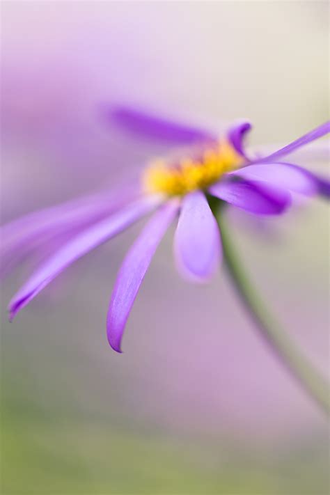 The Best Settings For Macro Photography Ultimate Guide