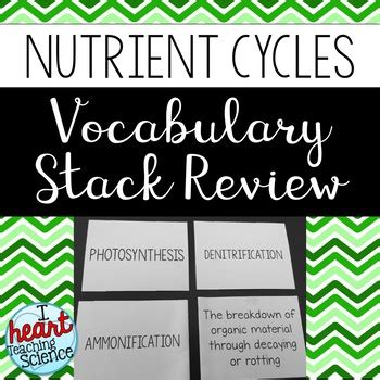 Nutrient Cycle Review Activity By I Heart Teaching Science TPT