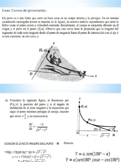 Calculo 1 Caso De Ingenieria Pdf Análisis Matemático Objetos