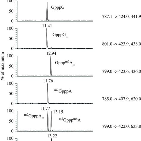 overview of rna preparation for cap map analysis cellular rna is download scientific diagram