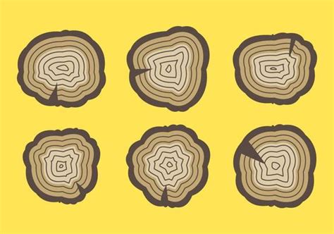 Tree Rings Vector Art Icons And Graphics For Free Download