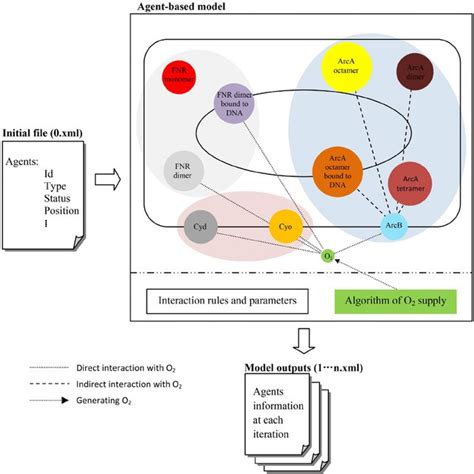 Components And Process Of Agent Based Model Simulation The File 0xml