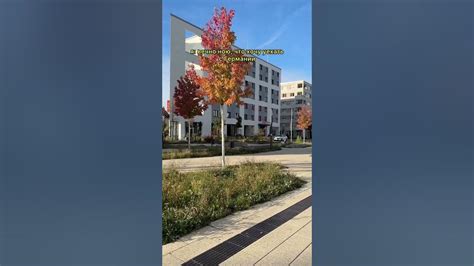 Кто такой же 😂🔥 жизньвгермании рилс юмор семья германия