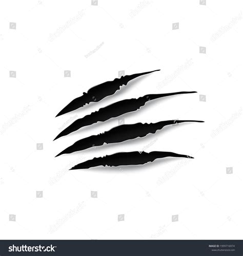 Bear Paw Claw Marks Vector Scratches Stock Vector Royalty Free