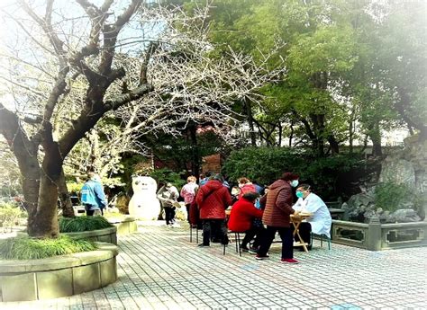 海鸿福船物业“市全实美”志愿行 雷锋精神永相传 上海海鸿福船物业管理有限公司