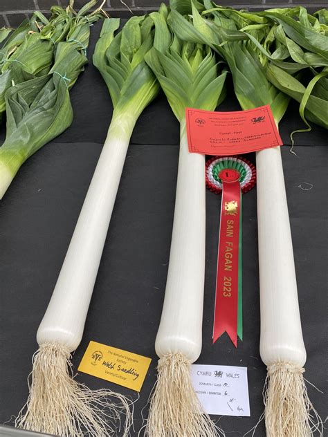 잘생기고 이쁘게 생긴 야채대회 수상작품 포텐 터짐 최신순 에펨코리아