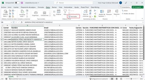 filtro avanzado en excel visoal