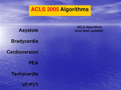 S O P O R T E V I T A L B A S I C O Bls Ppt Descargar