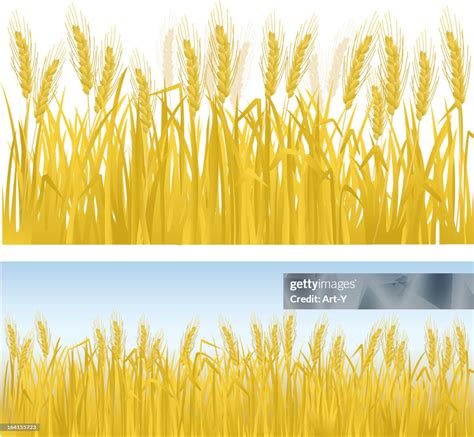Crop Rows Clipart