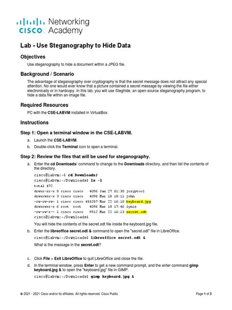 2 7 3 lab use steganography to hide data answer key pdf computer