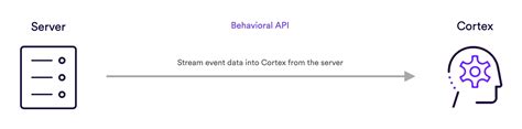 Overview Of Cortex Apis Mparticle Cortex