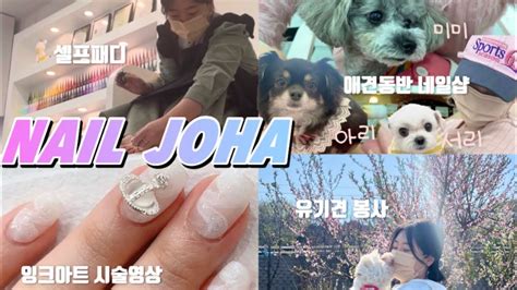 Nail Vlog 강아지 없는 네일샵 원장의 브이로그🐶🤍셀프패디네일시술영상유기견봉사애견동반네일샵20대네일샵원장일상브이로그네일샵브이로그 Youtube