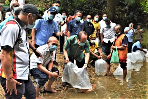 Processing Machine For Pepper Farmers Sarawak Tribune