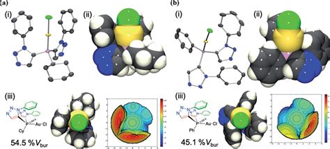 A Single Crystal X Ray Diffraction Structure Of 9a I Ortep Download Scientific Diagram
