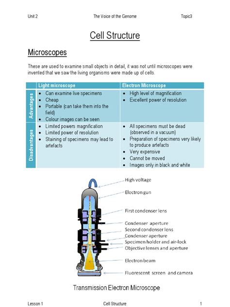 Pdf Lesson 1 Cell Structure Dokumen Tips