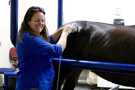 Pioneer Equine Hospital Digital Ultrasound