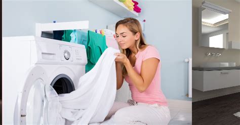 Iec Ul 60730 Functional Safety For Home Appliances Renesas