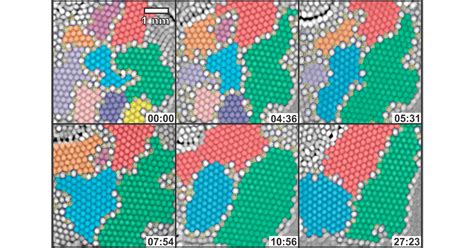 In Situ Atomic Level Dynamics Of Heterogeneous Nucleation And Growth Of Graphene From Inorganic