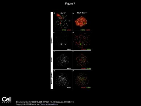 Volume 15 Issue 2 Pages August 2008 Ppt Download