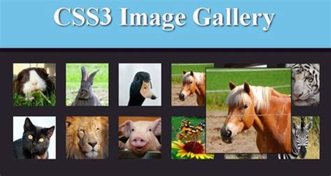 56 Pure Css Effects Javascript Alternatives Including Demos