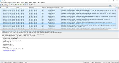 Dnswiresharkmccifns Csdn博客