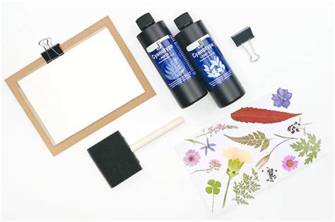 Cyanotype Printing How To Make Sun Prints Step By Step