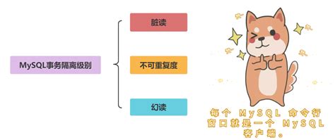 MySQL事务隔离级别 模拟异常发生之脏读 官方百战程序员 IT在线教育培训机构 体系课程在线学习平台