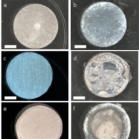 Light Microscopy Pictures Of The Surface Of The Samples Before And Download Scientific Diagram