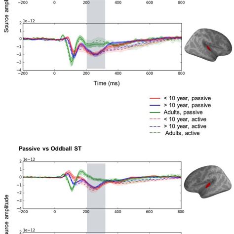 M Eeg Combined Source Estimates In The Left And Right Transverse