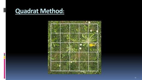 Methods Of Sampling Vegetation Pptx Gardening Home And Garden