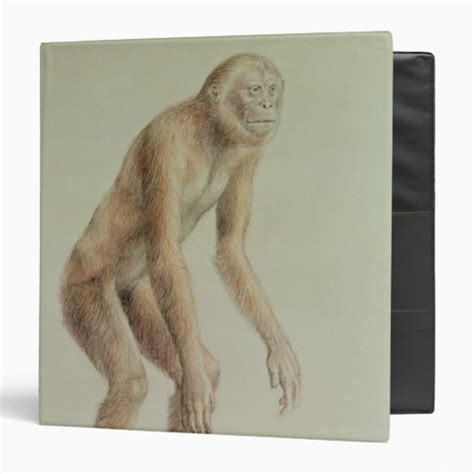 Ramapithecus Ring Binder Zazzle