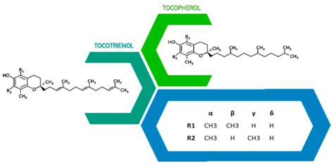 14 Chemical Structure Of Tocopherols And Tocotrienols [104] Download