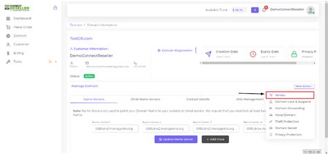 How To Renew A Domain