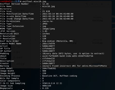 ctfshow misc入门 1 30 ctfshow misc30 csdn博客